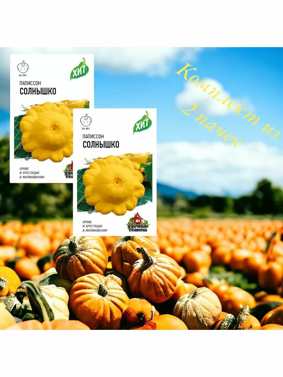 Патиссон Солнышко цв. п 1г ХИТ (комплект из 2 пачек) Гавриш