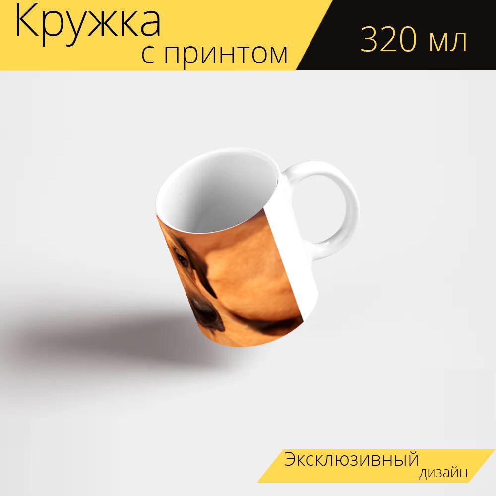 Кружка с рисунком, принтом "Гончая, собака, милая" 320 мл.