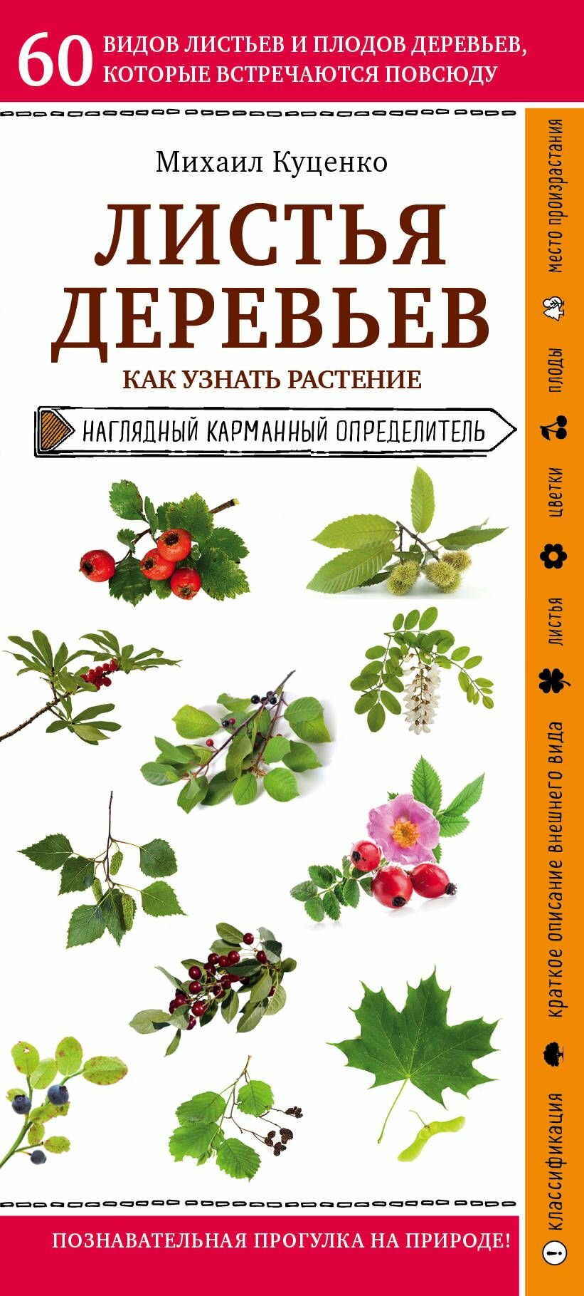 Книга "Листья деревьев. Как узнать растение"