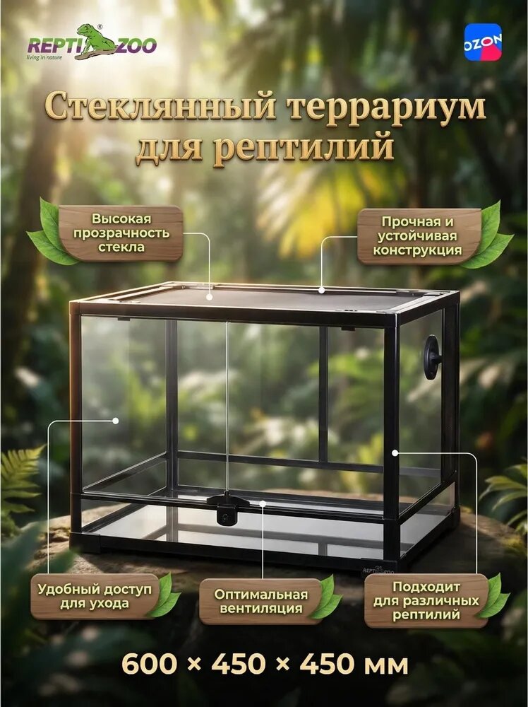Стеклянный ящик для разведения домашних животных reptizoo climbing (60x45x45 см)