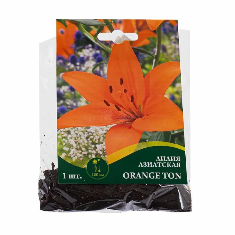 Луковица азиатской лилии, в упаковке 1 луковица, станет прекрасным украшением для вашего сада, подарит вам незабываемый аромат и яркие насыщенные цвета.