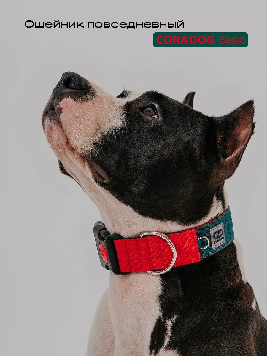 Ошейник широкий повседневный, CORADOG Basic, для средних и крупных собак, темно-зеленый, красный, размер M-4 38-54 см