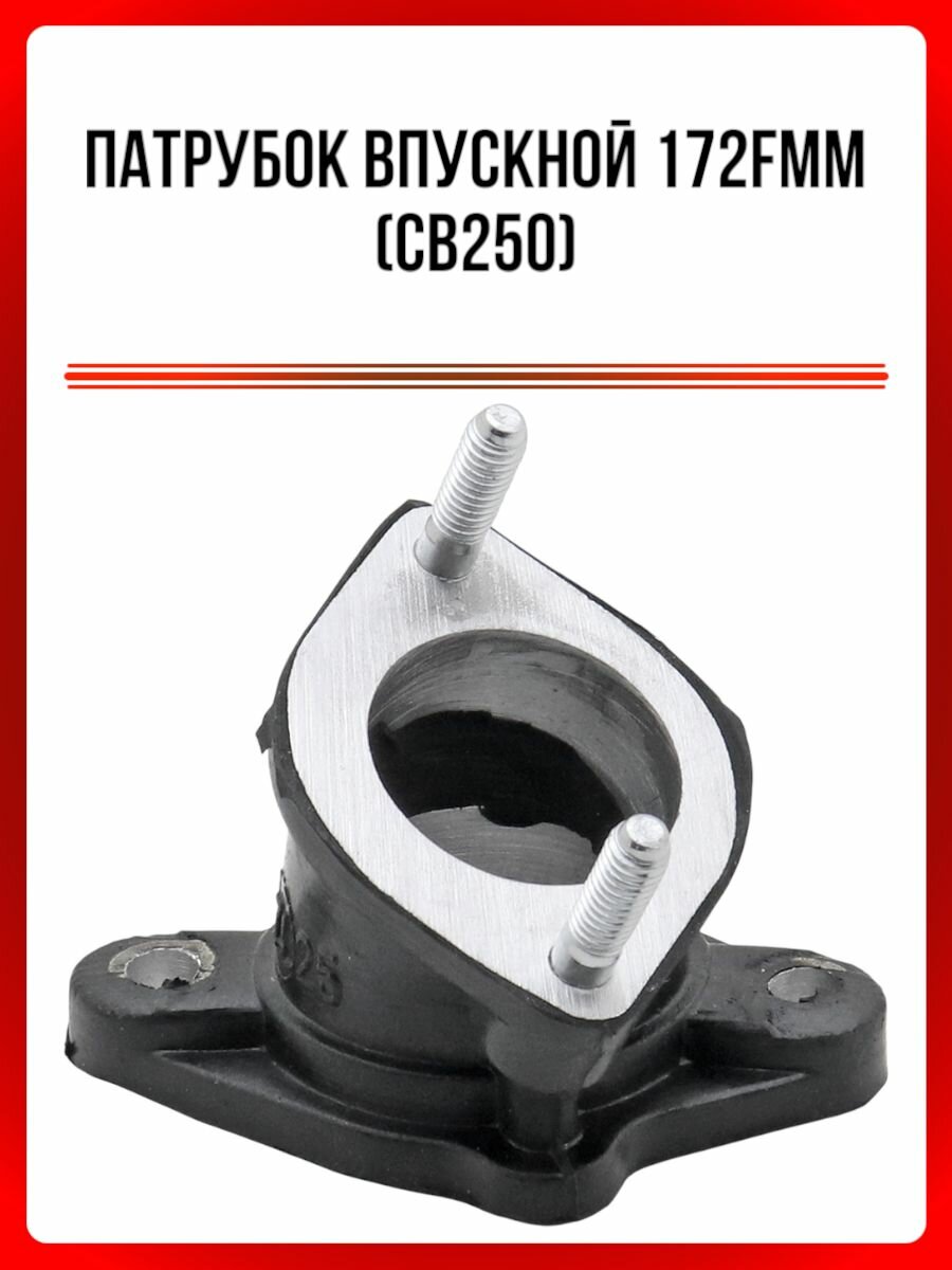 Патрубок впускной 172FMМ (CB250)