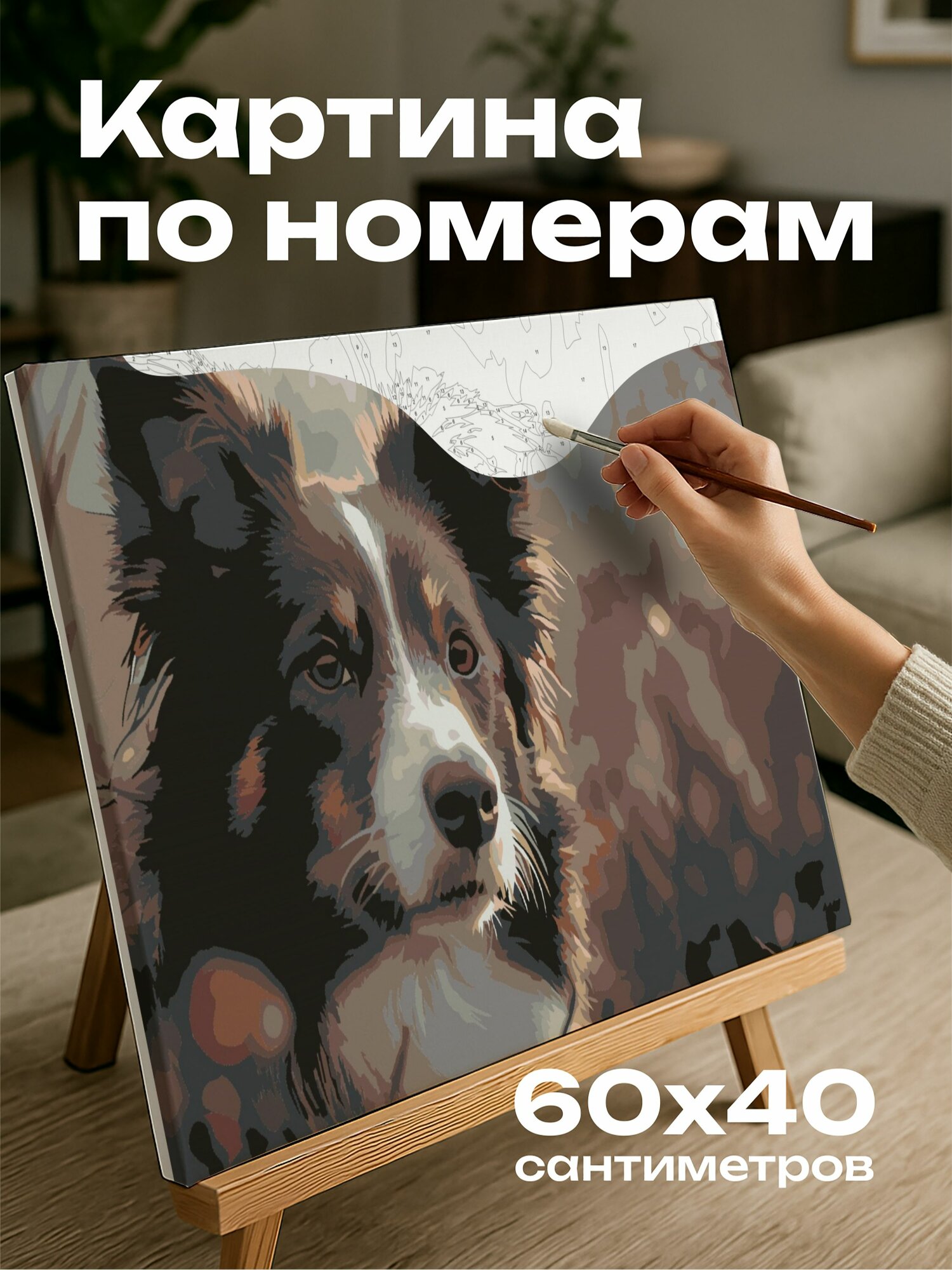 Картина по номерам 60x40 см, Колли, высокое разрешение, естественная обстановка, живость, внимательность, черты лица, f