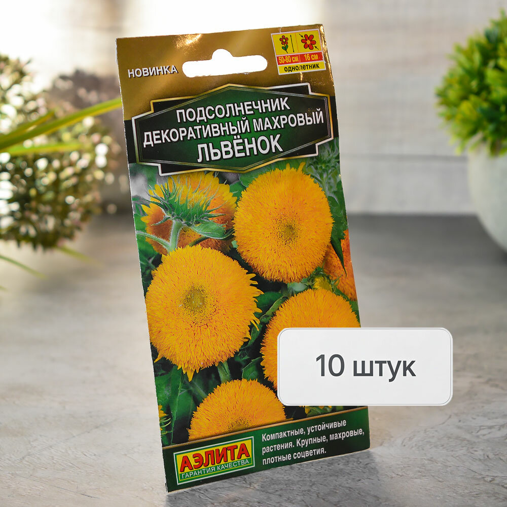 Подсолнечник декоративный махровый "Львенок", 10 шт, однолетник, высота 50-80 см, диаметр 16 см