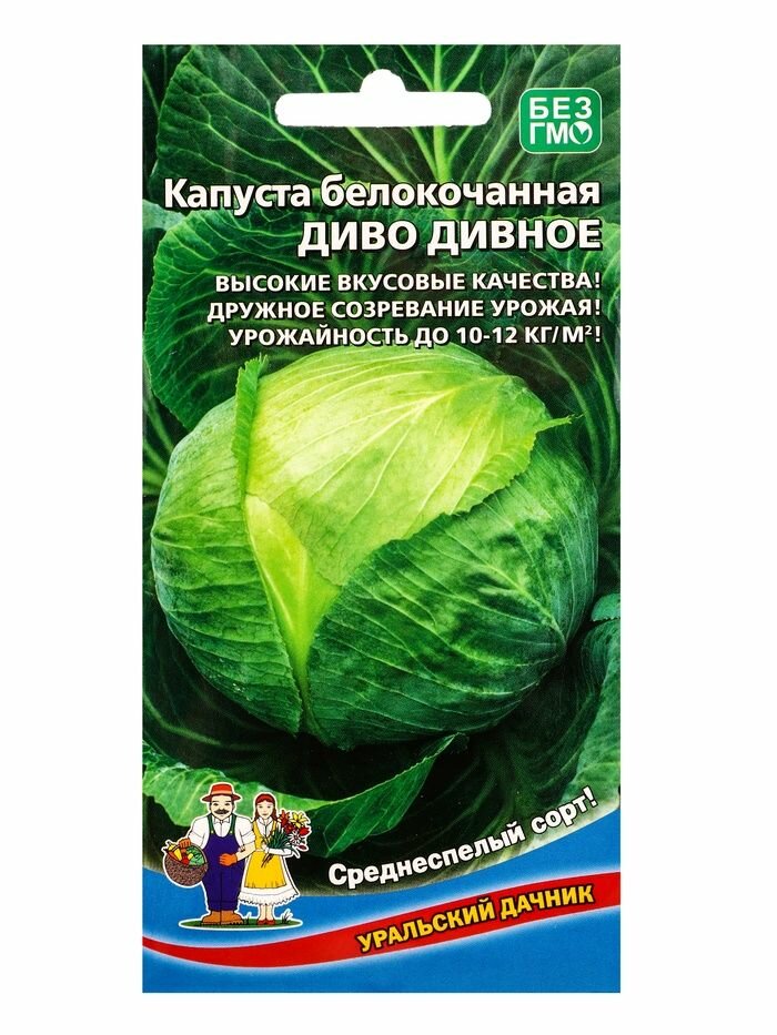 Семена Капуста белокочанная Диво дивное (УД) Е/П , Е/П, 0,3 г