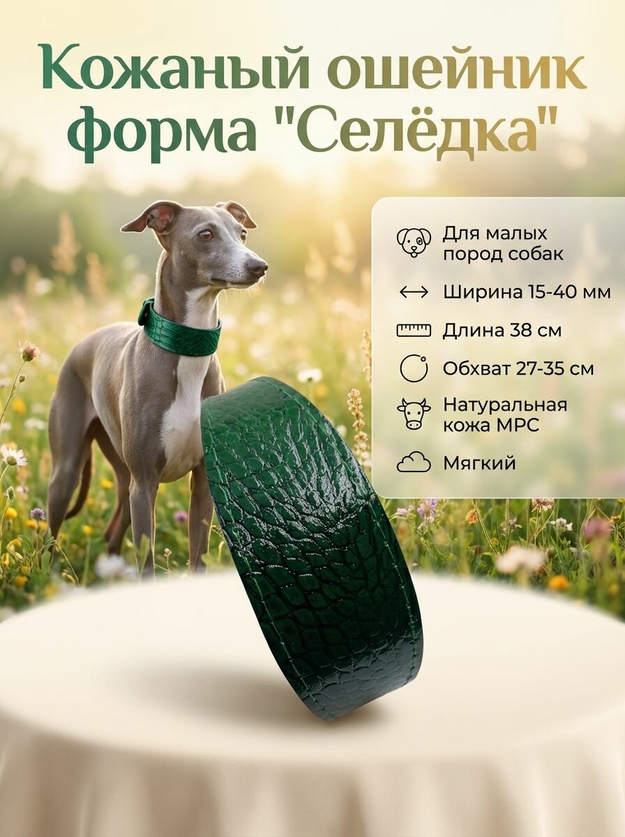 Ошейник "Селедка" из натуральной кожи.