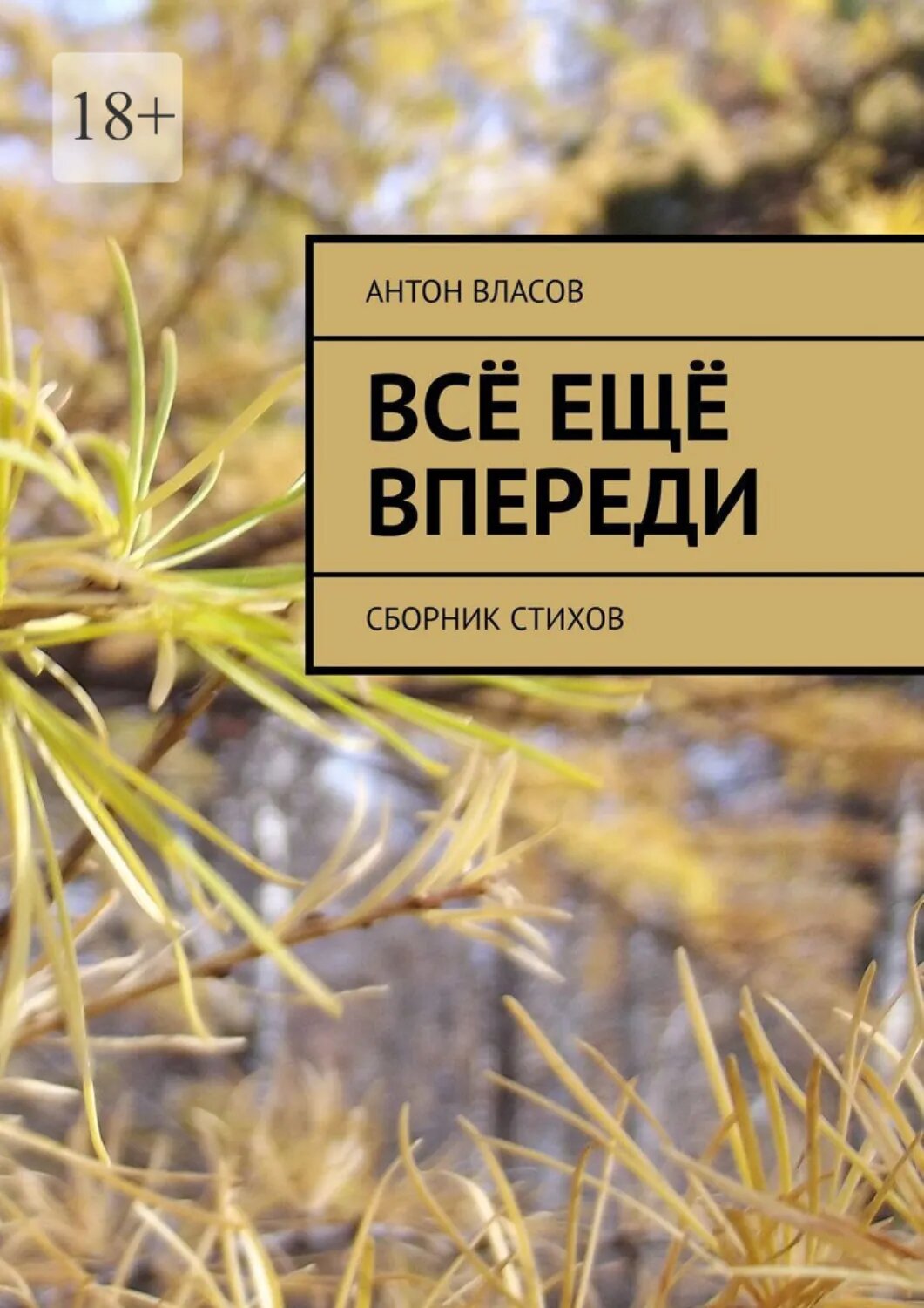 Всё ещё впереди. Сборник стихов [Цифровая книга]
