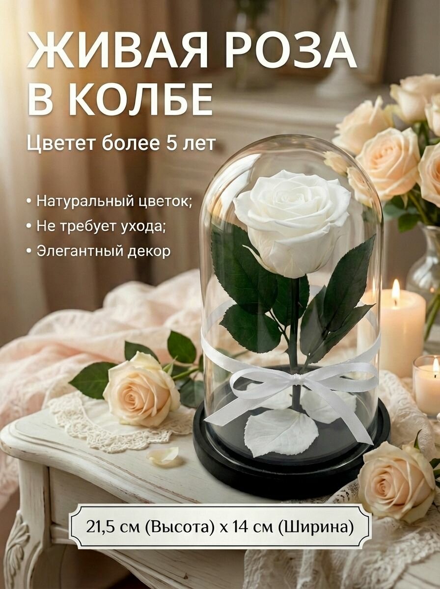 Стабилизированные цветы в стекле, Роза в колбе живая Glamur белый , GIFT4YOU