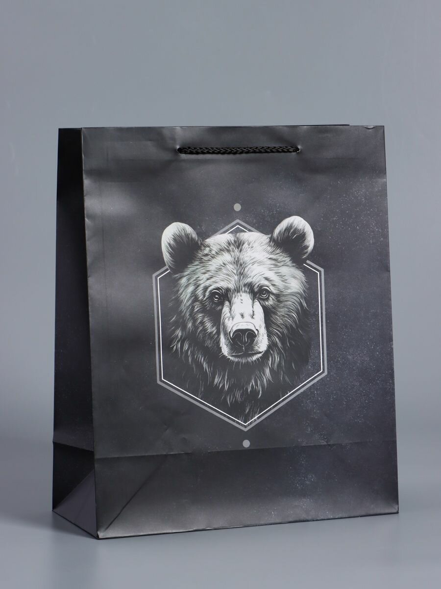 Набор пакетов подарочных, 4 шт. ламинированных Мужской выбор , чёрный, 26 12 32 см