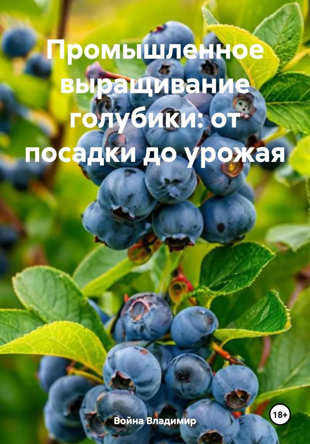 Промышленное выращивание голубики: от посадки до урожая [Цифровая книга]