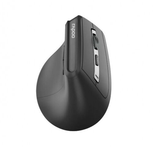 Мышь Rapoo EV310M, черный (EV310M-DGR)