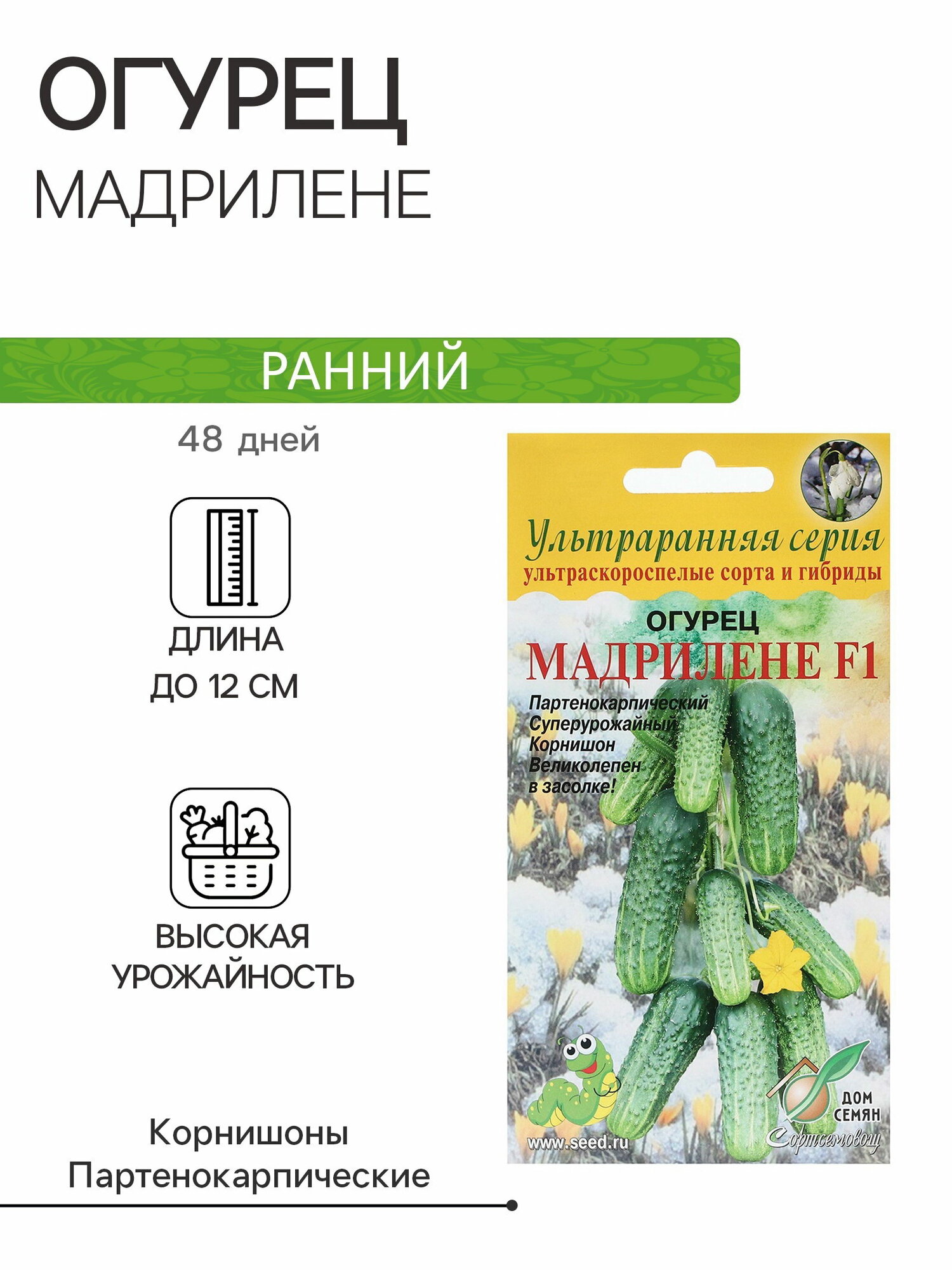 Семена Огурец "Мадрилене", F1, 6 шт, сроки созревания: ранний