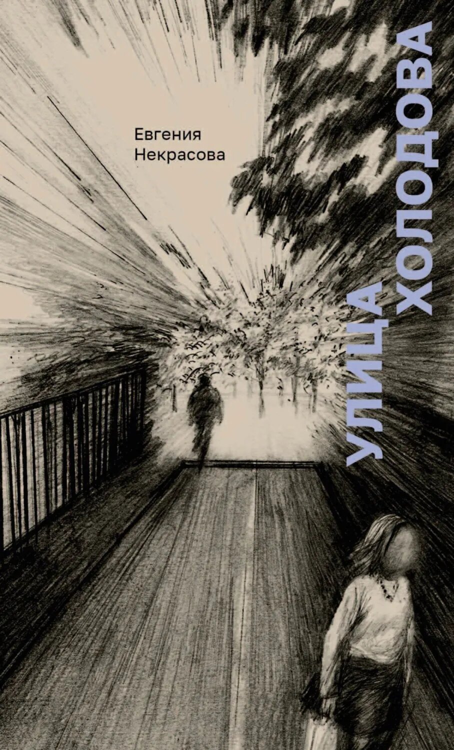 Улица Холодова [Цифровая книга]
