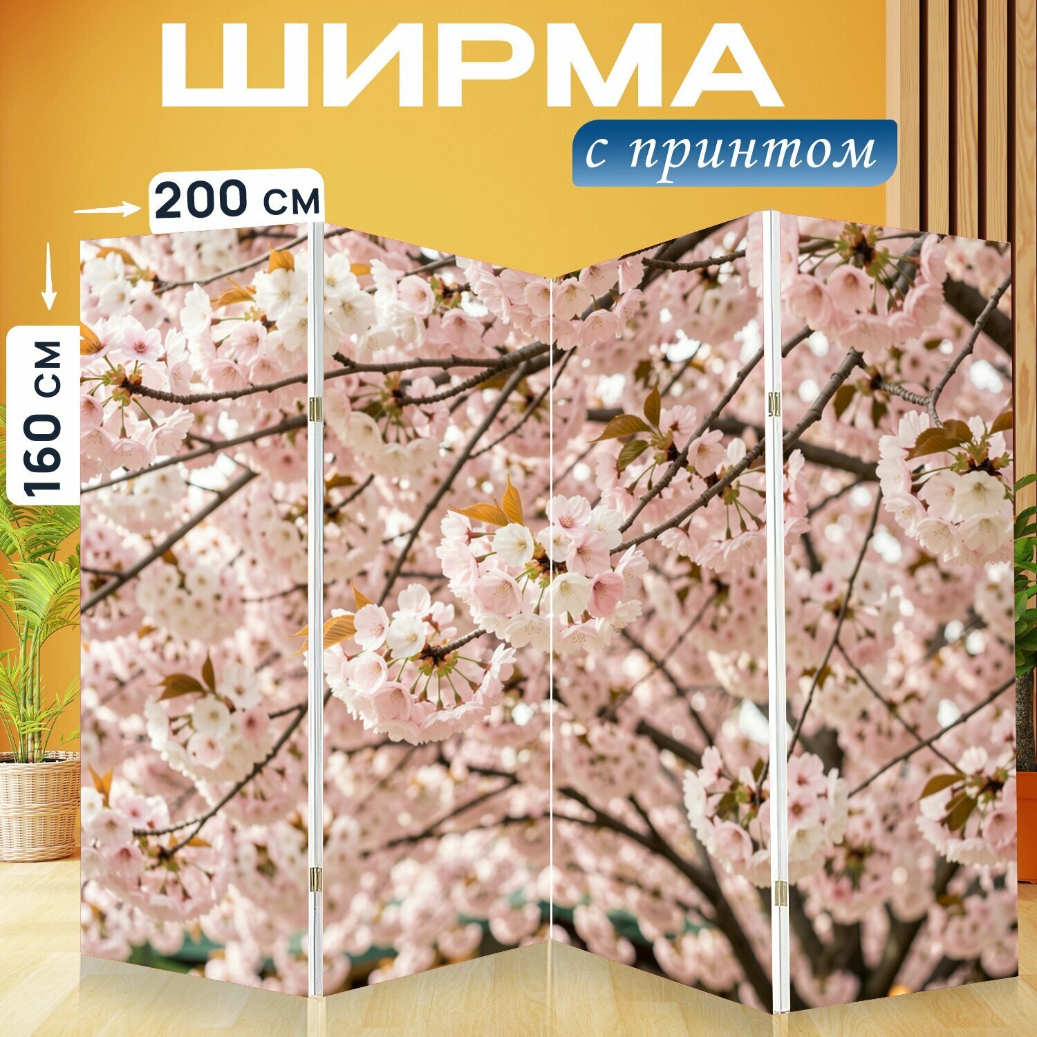 Ширма "Цветущее дерево сакуры весной. Нежные розово-белые соцветия на раскидистых ветвях, мягкий размытый фон." перегородка для зонирования комнаты с принтом 200x160 см. на холсте