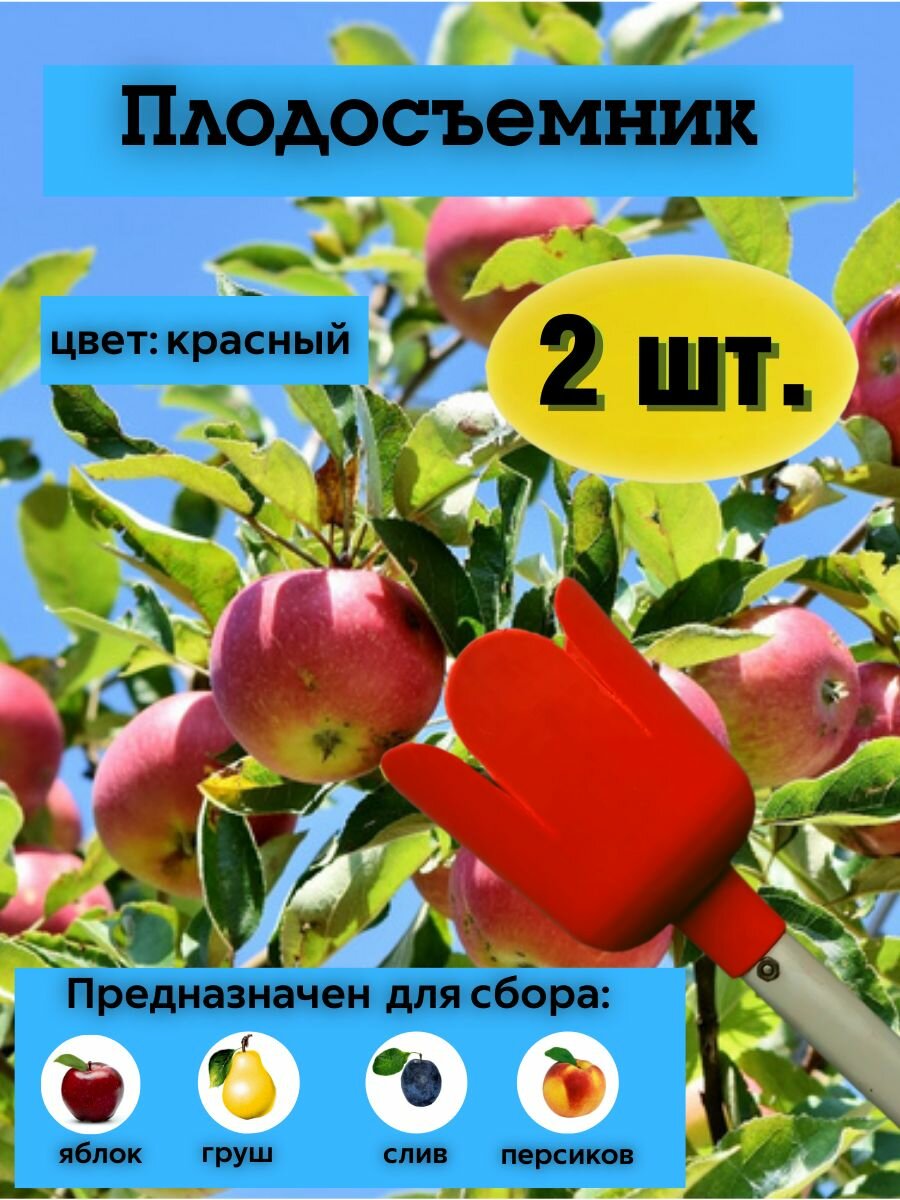 Плодосъемник 13,5х17,5 см красный, 2 шт