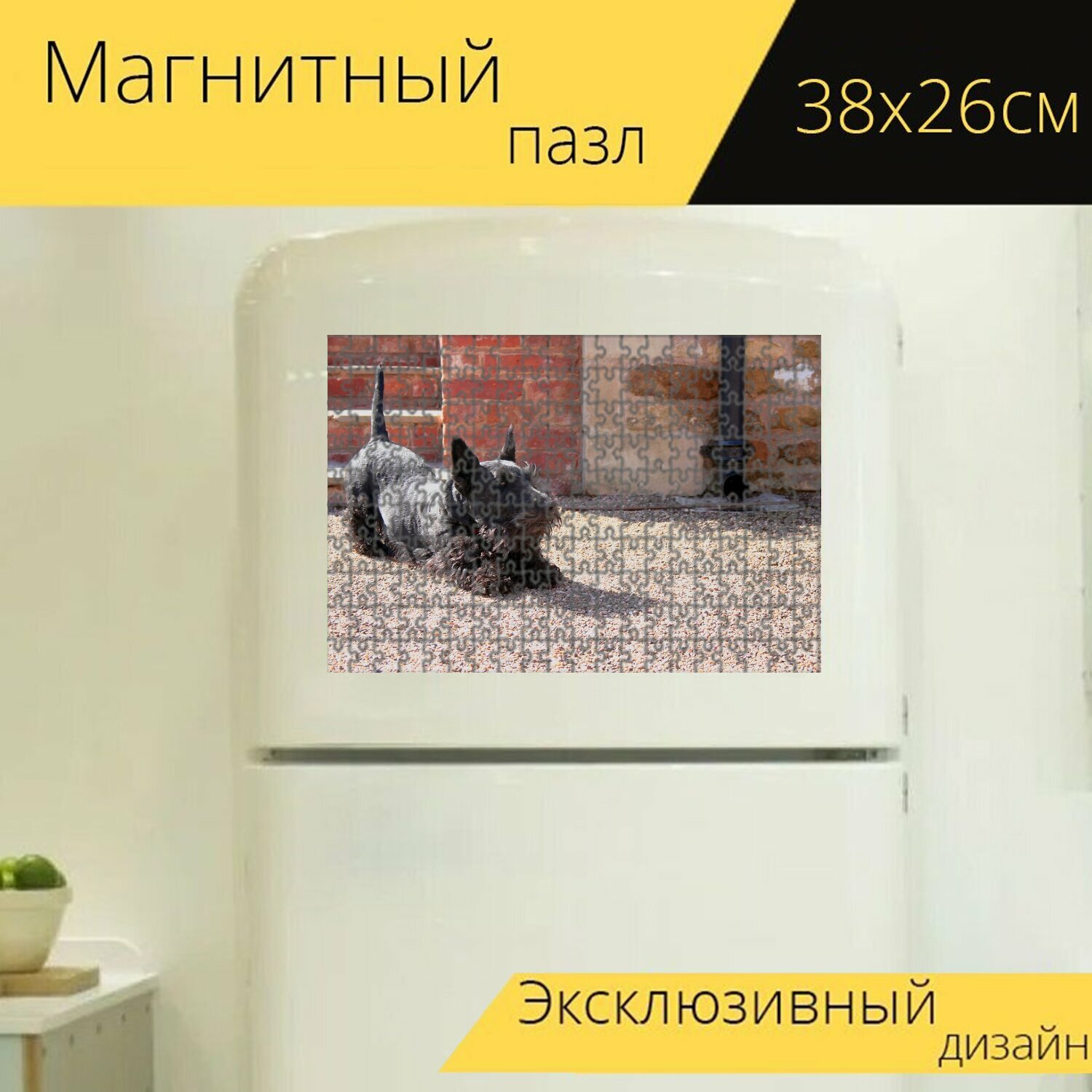 Магнитный пазл "Собака, шотландский терьер, скотти" для интерьера, 38х26 см.