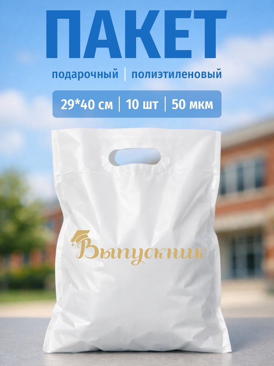 Подарочные пакеты Амарант "Выпускник", вырубная ручка, 29x40 см, 10 шт