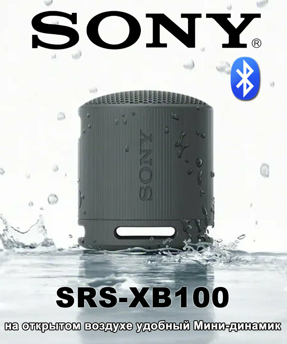 Son y SRS-XB100 Портативный беспроводной динамик сабвуфер.