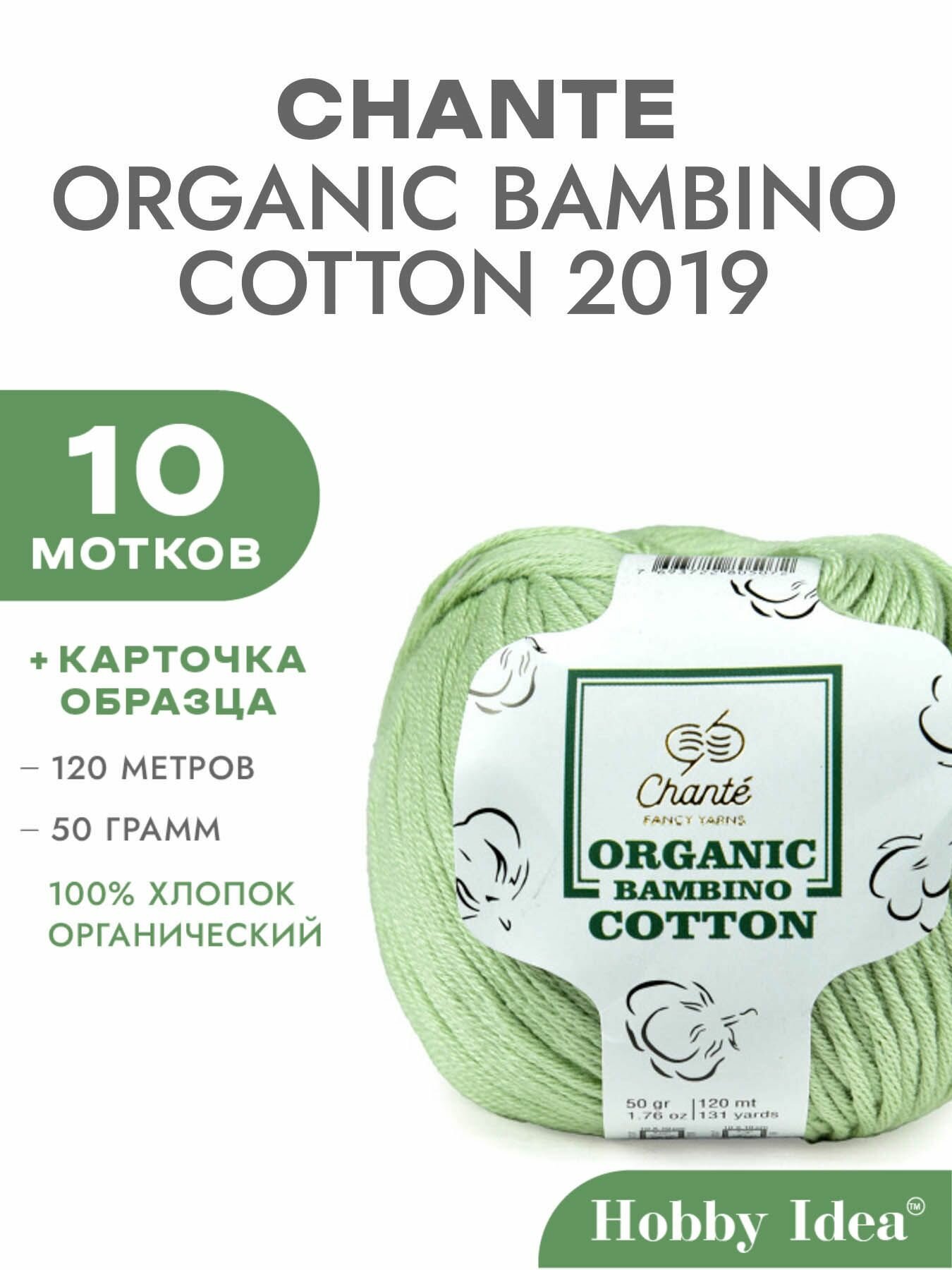 Пряжа Chante Organic Bambino Cotton 2019 Светло зелёный 10 мотков (Нитки хлопковые Шантэ Органик Бамбино Коттон)