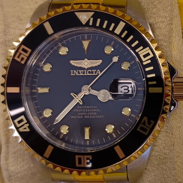 Наручные часы INVICTA Pro Diver, серебристый — фото 1