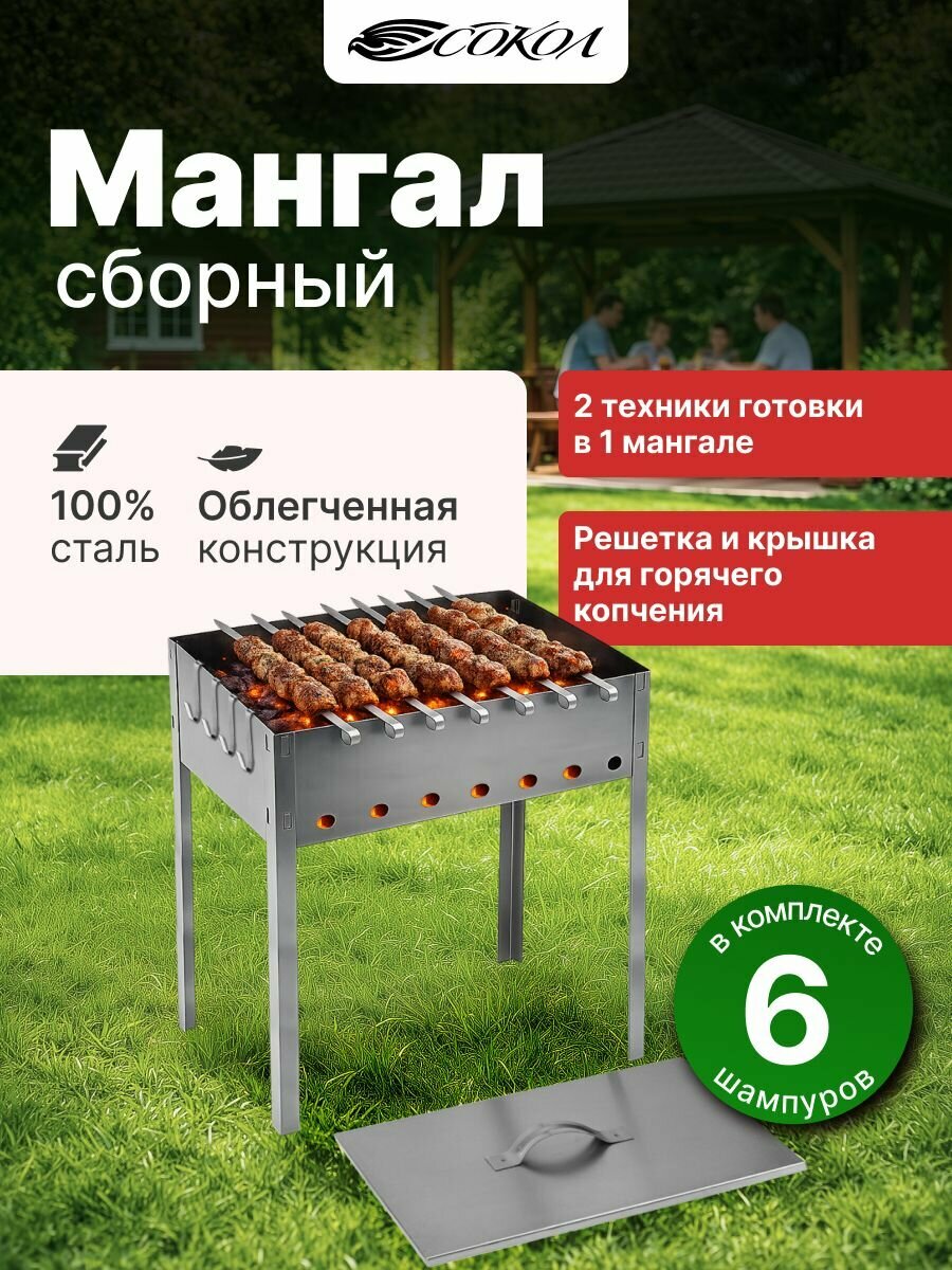 Мангал разборный складной для дачи с шампурами сокол