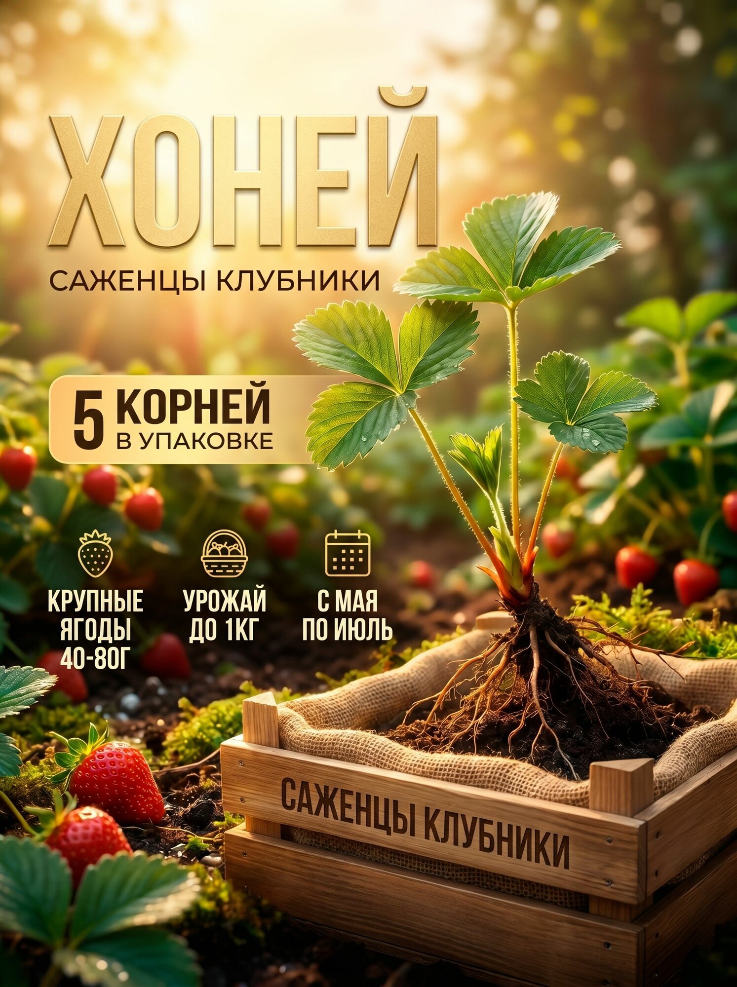 Саженцы клубники ханой 5-шт