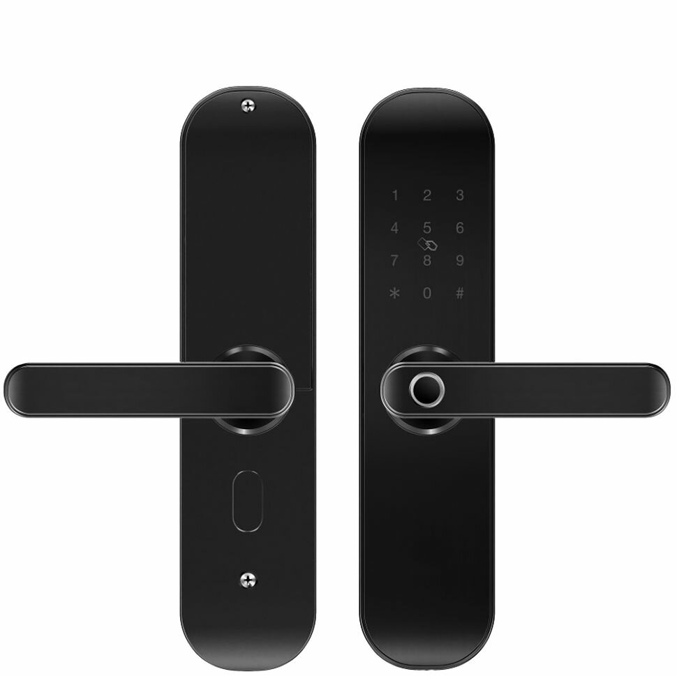 Умный замок "Nayun Smart" NY-SDL-202, для дома и офиса, встроенный, чёрный, 1900 г