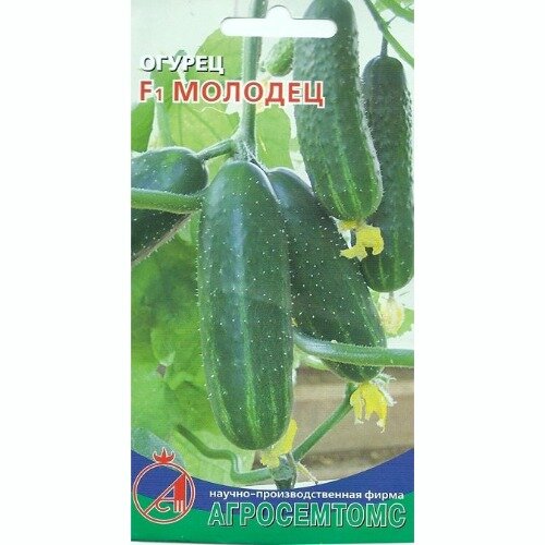Семена огурца Агросемтомс Молодец, скороспелый, пучковый, 8 шт