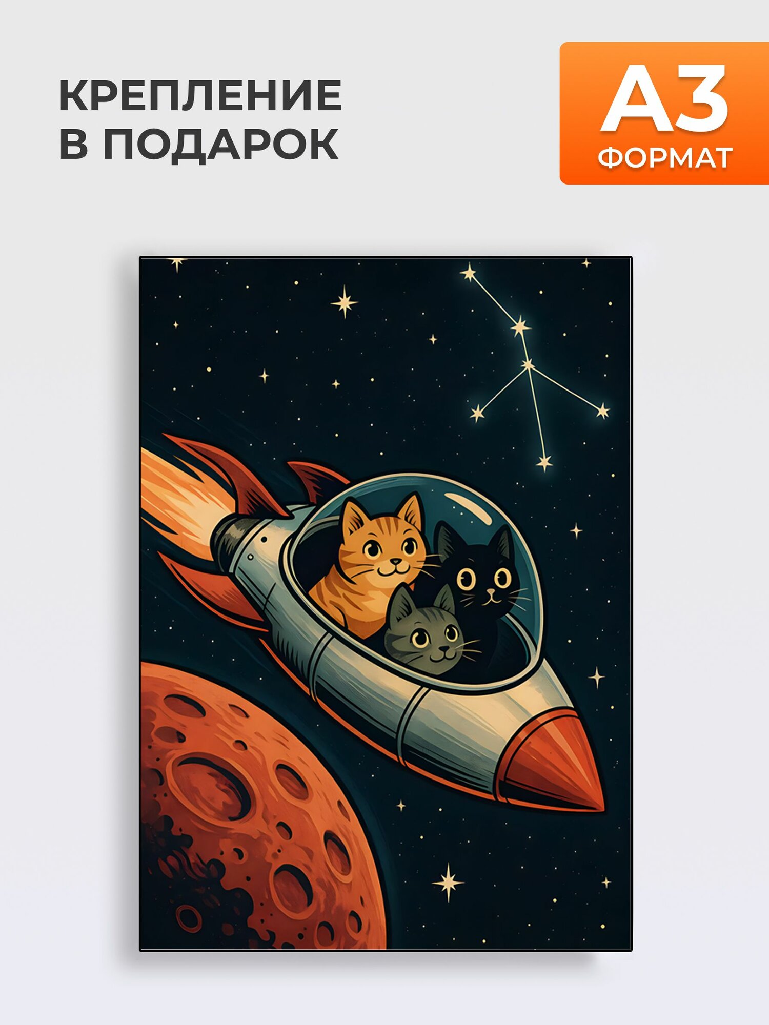 Постер Котики в Ракете , Формат А3
