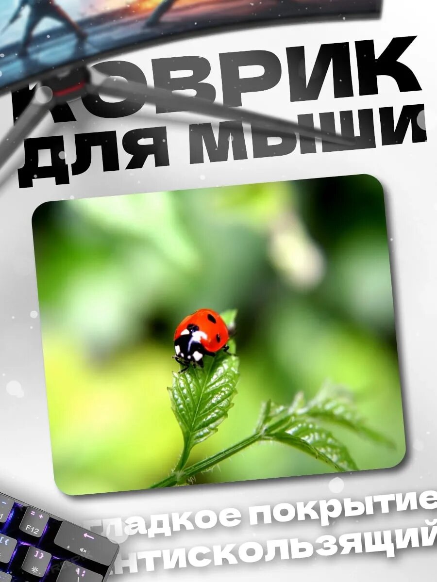 Коврик для мыши Божья коровка на листе
