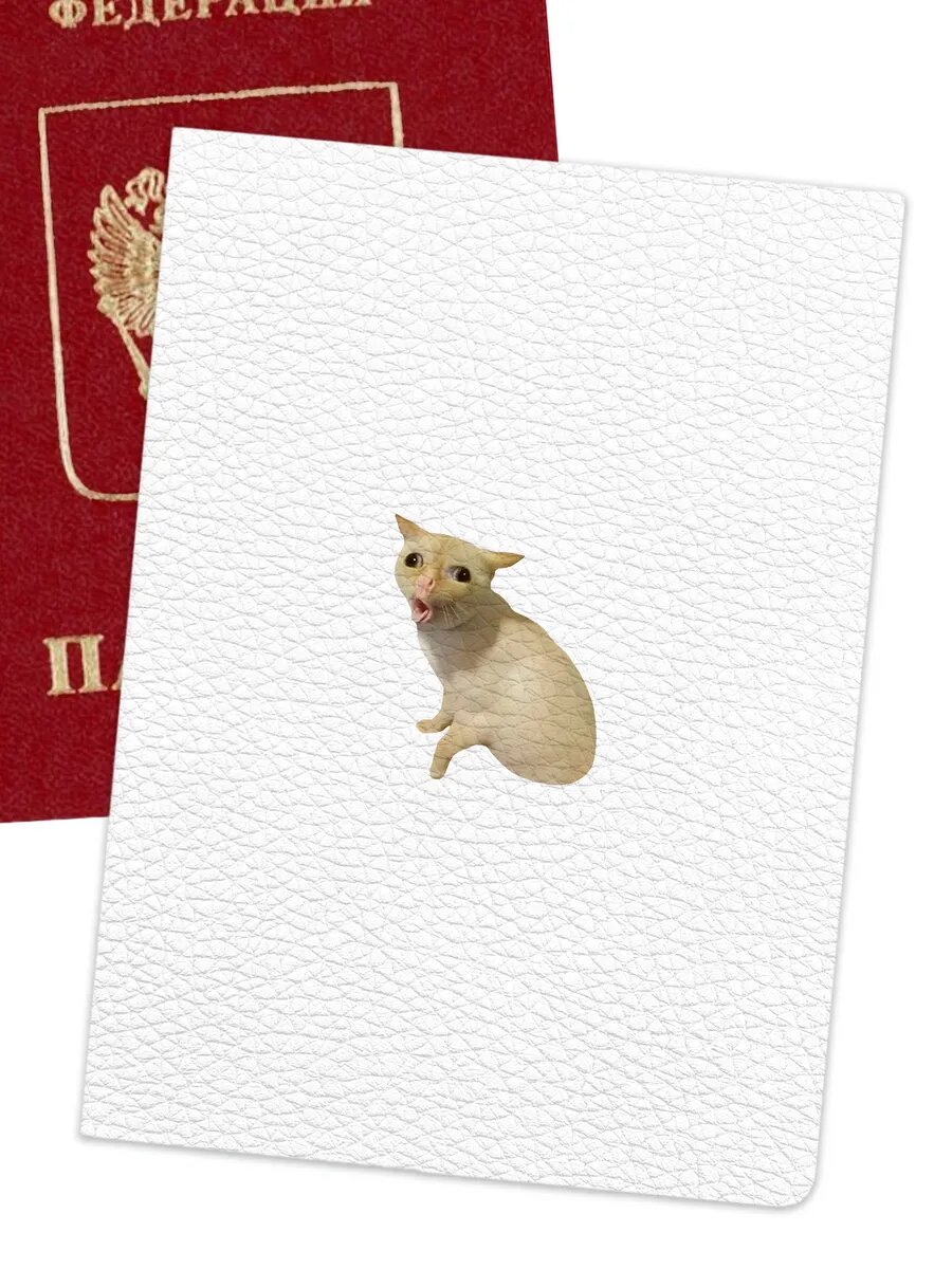 Обложка для паспорта