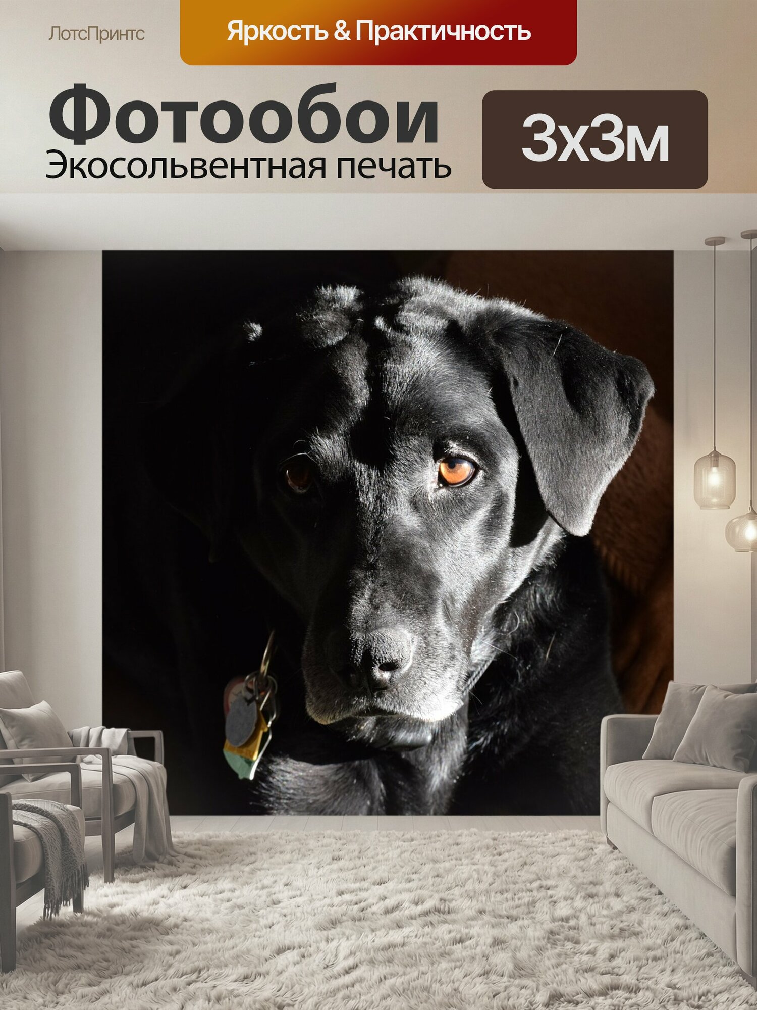 Фотообои "Лабрадор ретривер, черный лабрадор ретривер, лабрадор ретривер голова" 300x300 см. экосольвентная печать