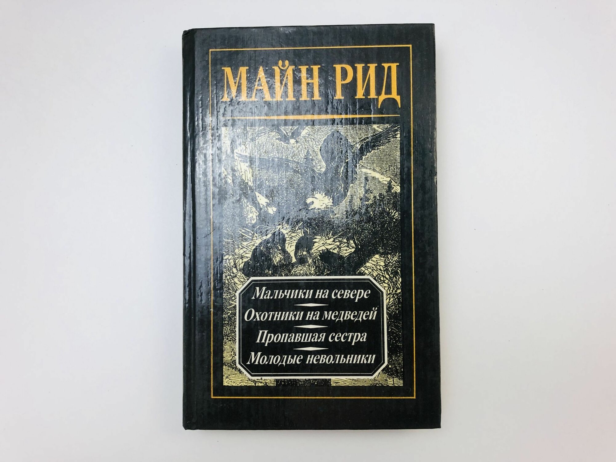 Мальчики на севере. Охотники на медведей. Пропавшая сестра. Молодые невольники. Романы