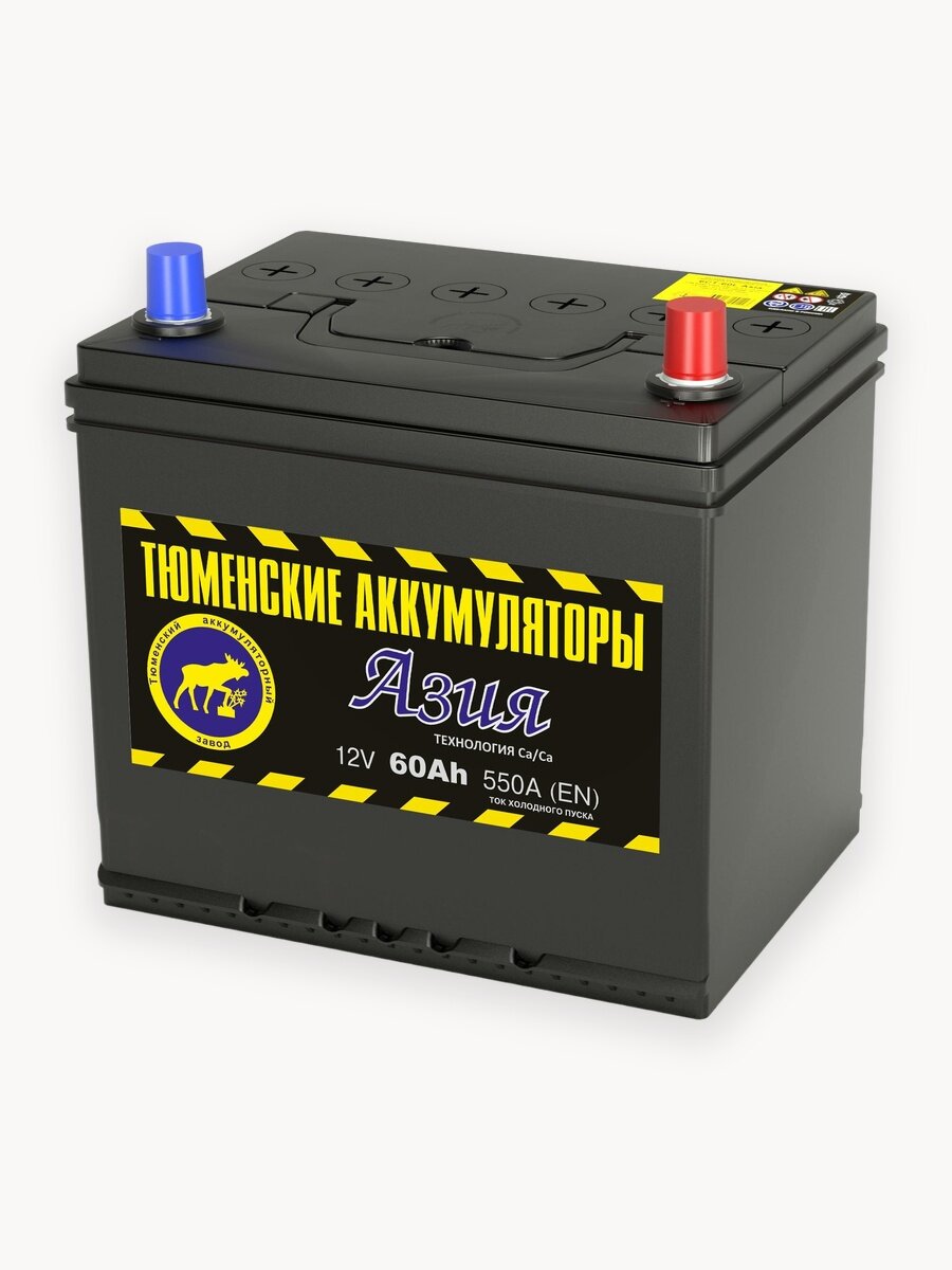 Автомобильный аккумулятор TYUMEN Battery Asia 60.0 Aч R+ EN 520A (230x175x220)
