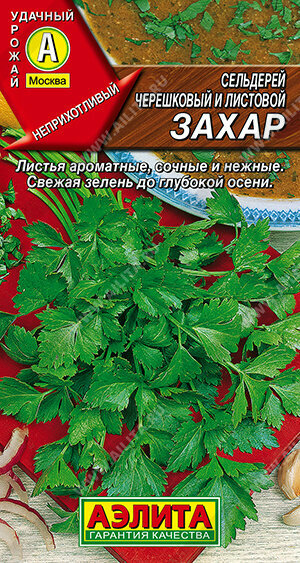 Сельдерей листовой Захар