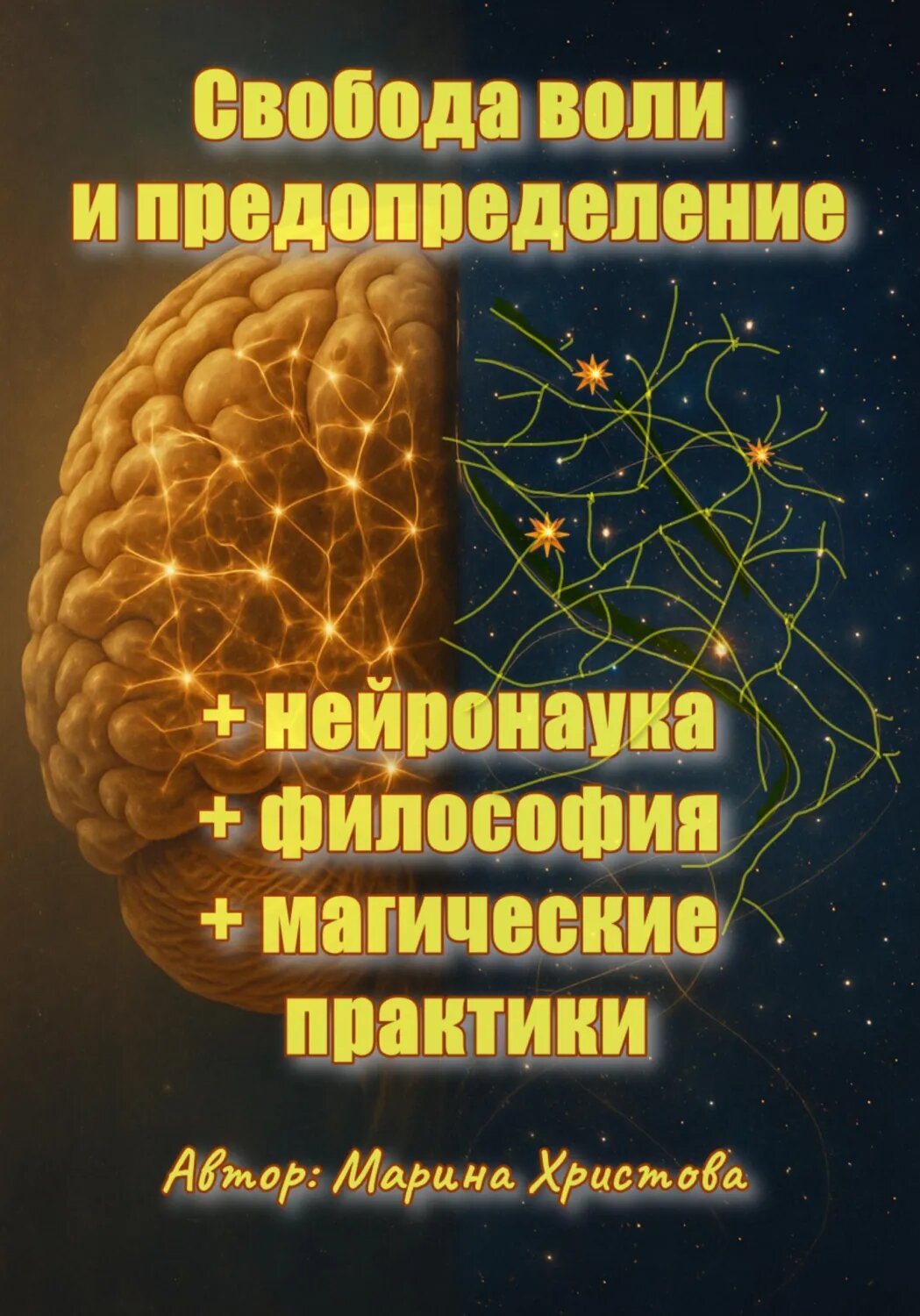 Свобода воли и предопределение - нейронаука + философия + магические практики [Цифровая книга]