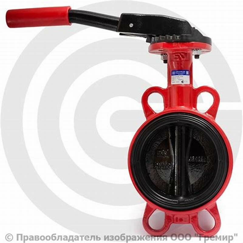 Гранвэл. Затвор поворотный дисковый зпвс-fl(w)-3-100-MN-Е, Ду 100, Pу 16, межфланцевый, рукоятка