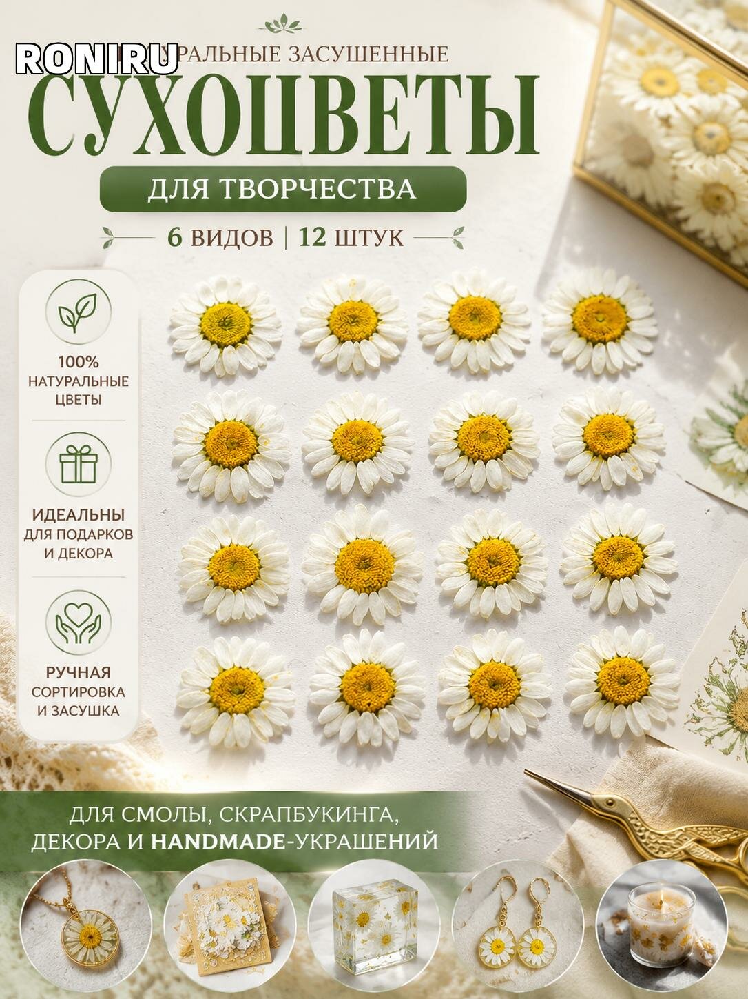 Натуральные засушенные сухоцветы для творчества, 6 видов, 12шт — для смолы, скрапбукинга, декора и handmade-украшений