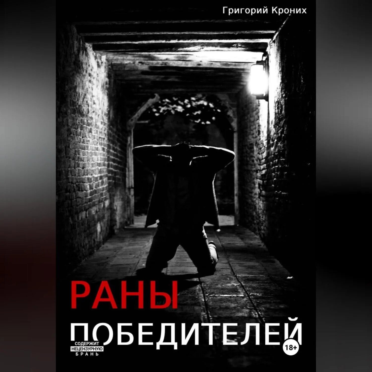Раны победителей [Аудиокнига]
