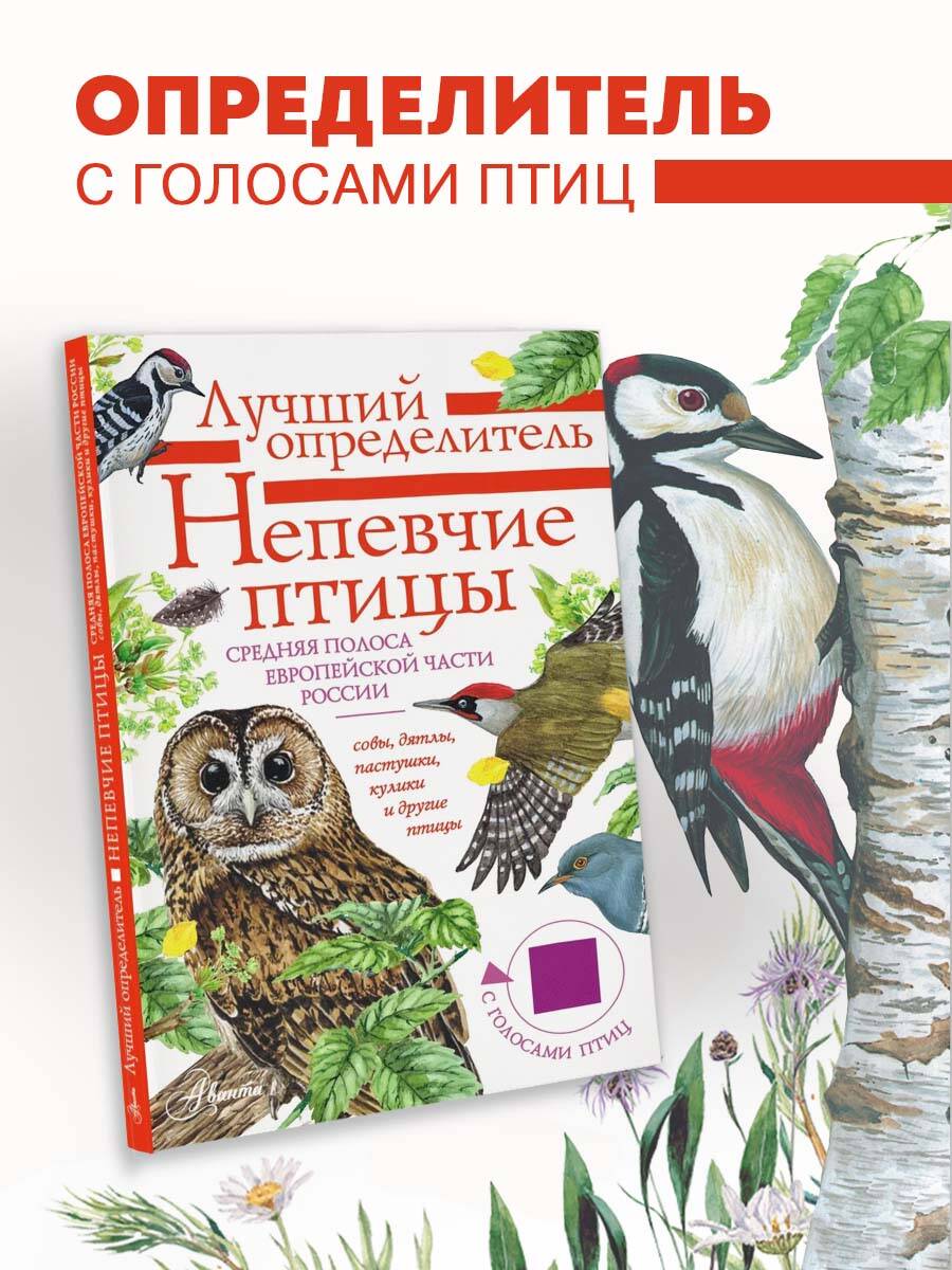 Непевчие птицы. Средняя полоса европейской части России. Определитель с голосами птиц