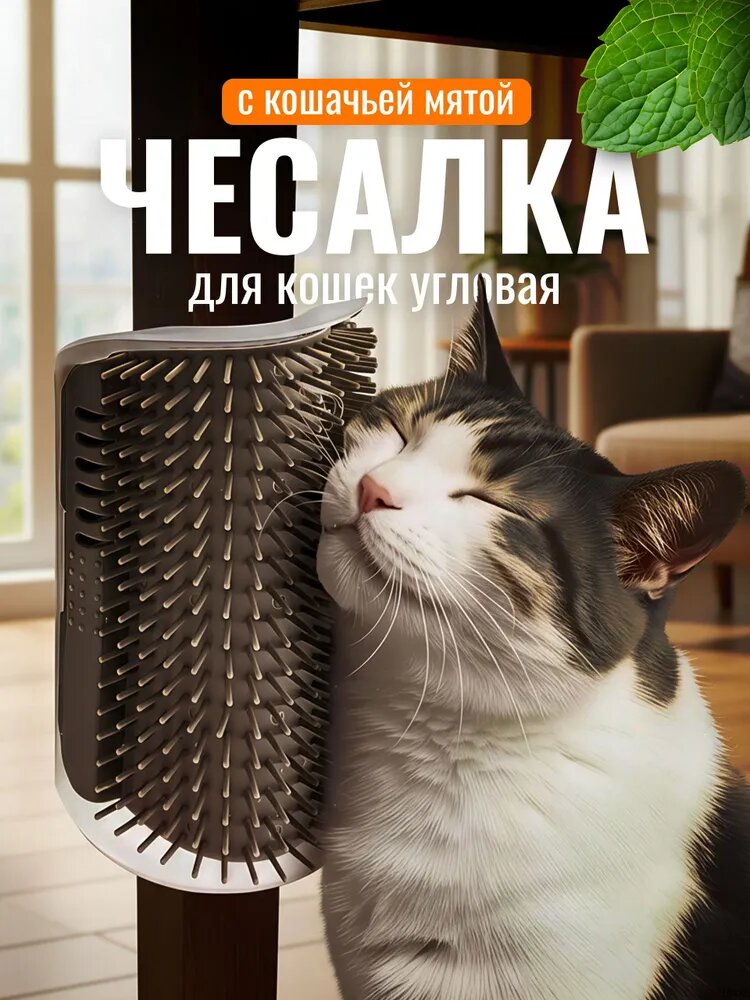 Угловая чесалка для кошек на стену, с кошачьей мятой, щетка для кошек, массажер для животных с креплением