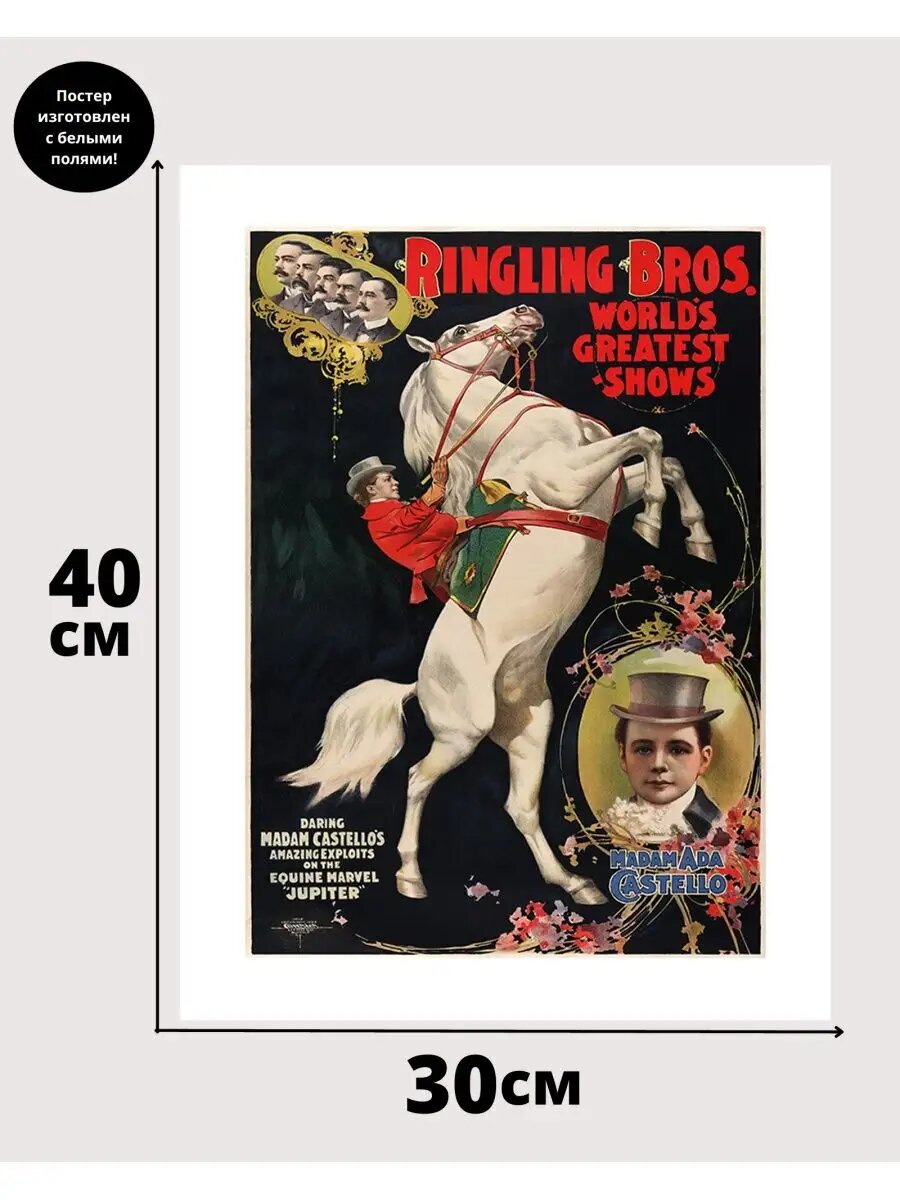 Постер лошадь конный спорт в ретро стиле