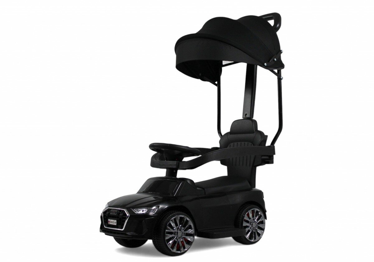 Rivertoys Детский толокар Z005ZZ-AP черный