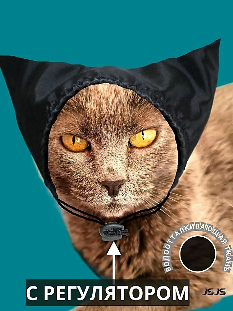 Шапочка для сфинкса для купания размер XS-S, Шапка для мытья кошек