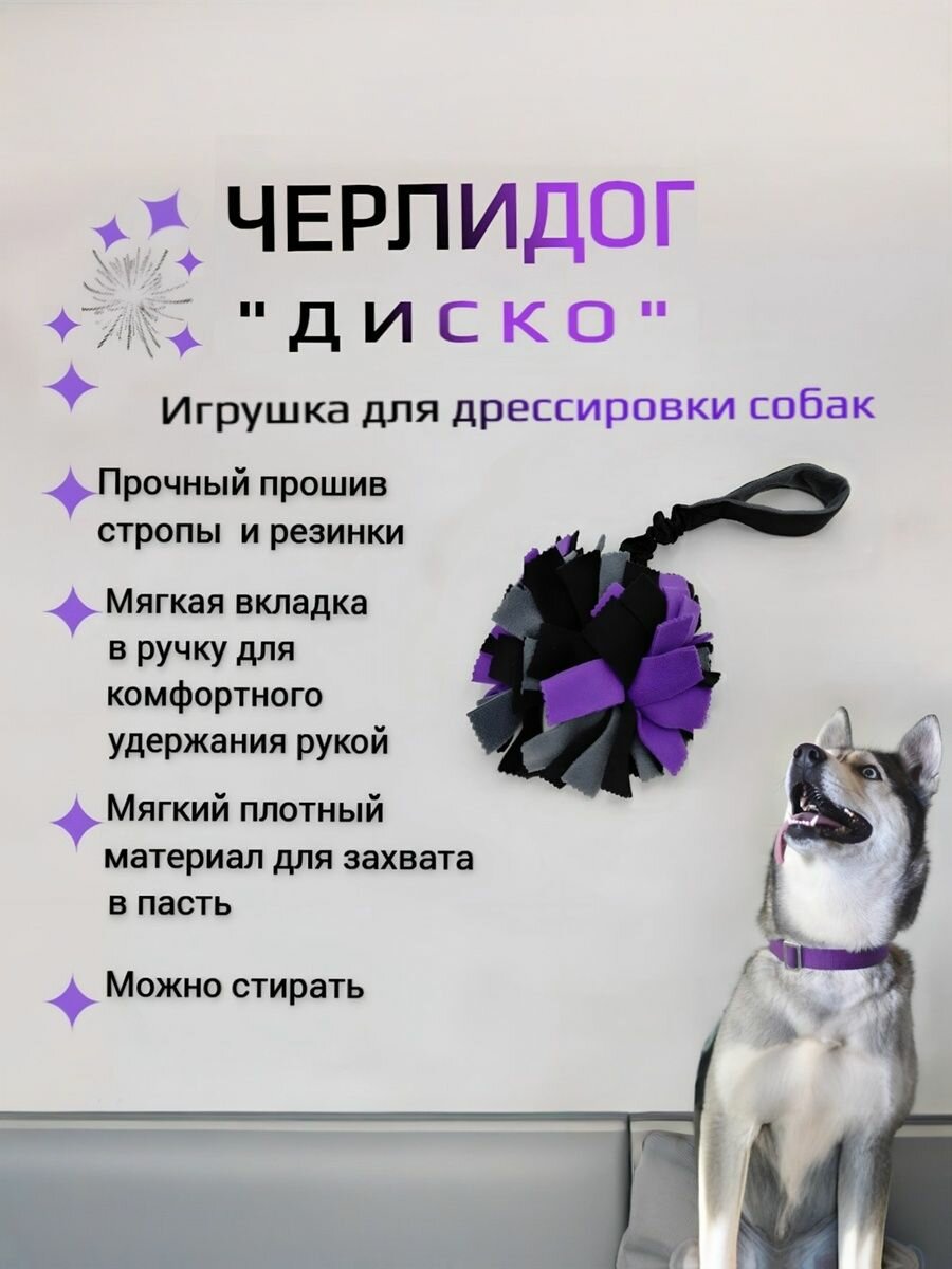 Игрушка для дрессировки собак мягкая на резинке черлидог "диско"