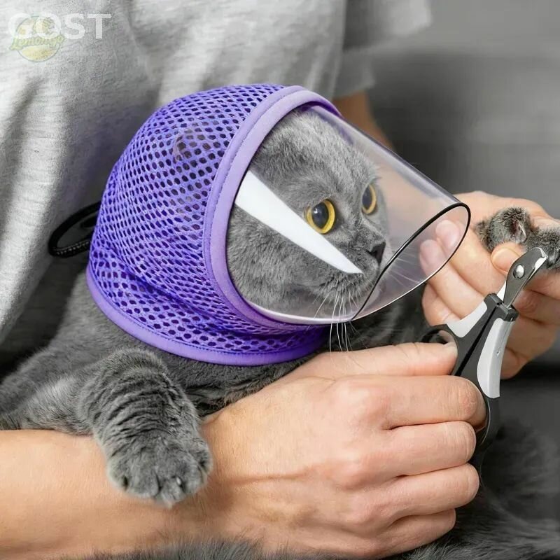 Менянка для кошки для обрезки ногтей, кошачий шлем для груминга , Одежда для животных-T