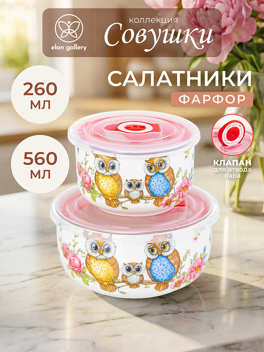 Набор 2 салатников Elan Gallery Совушки, 560 мл + 260 мл, с крышками