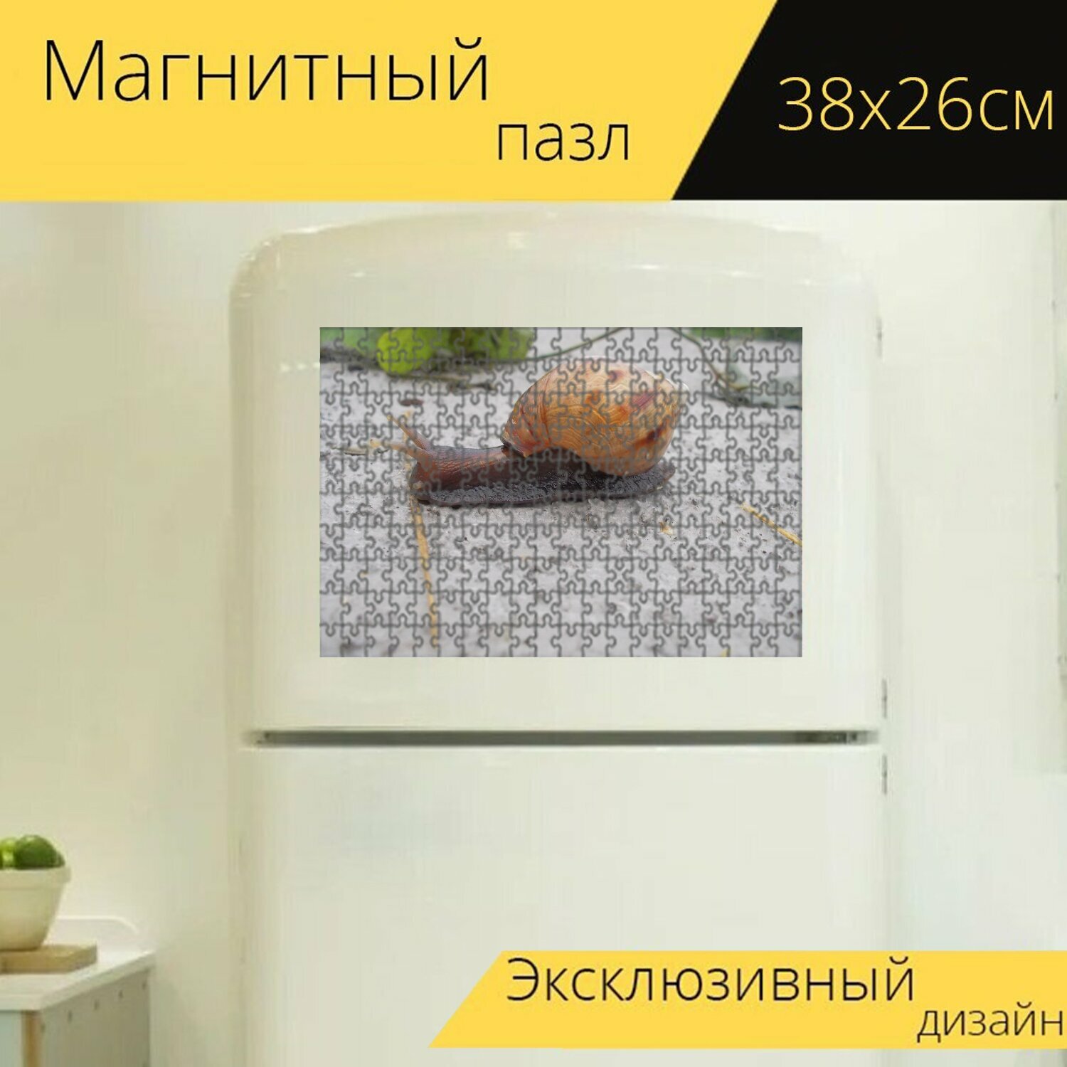 Магнитный пазл "Улитка, ахатина фулика, гигантская африканская улитка" для интерьера, 38х26 см.