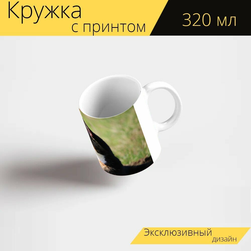 Кружка с рисунком, принтом "Кот, lucky cat, триколор" 320 мл.